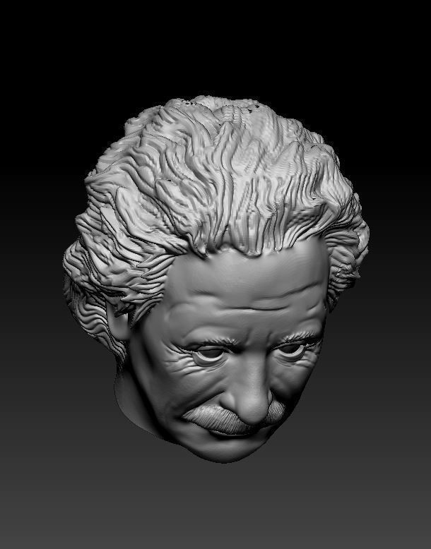 Male head 12 Albert Einstein 3D model 3D printable | CGTrader