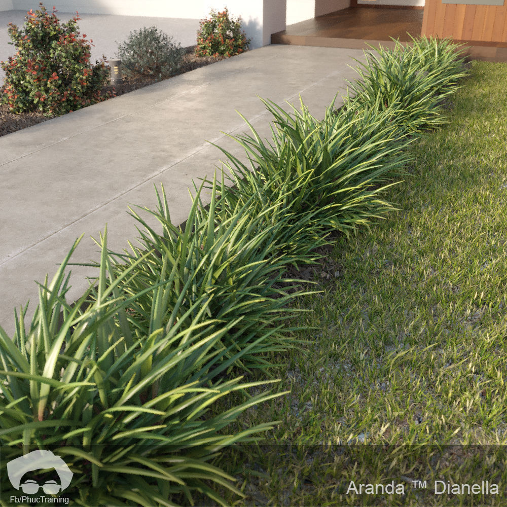 Aranda Dianella bush 3D model | CGTrader