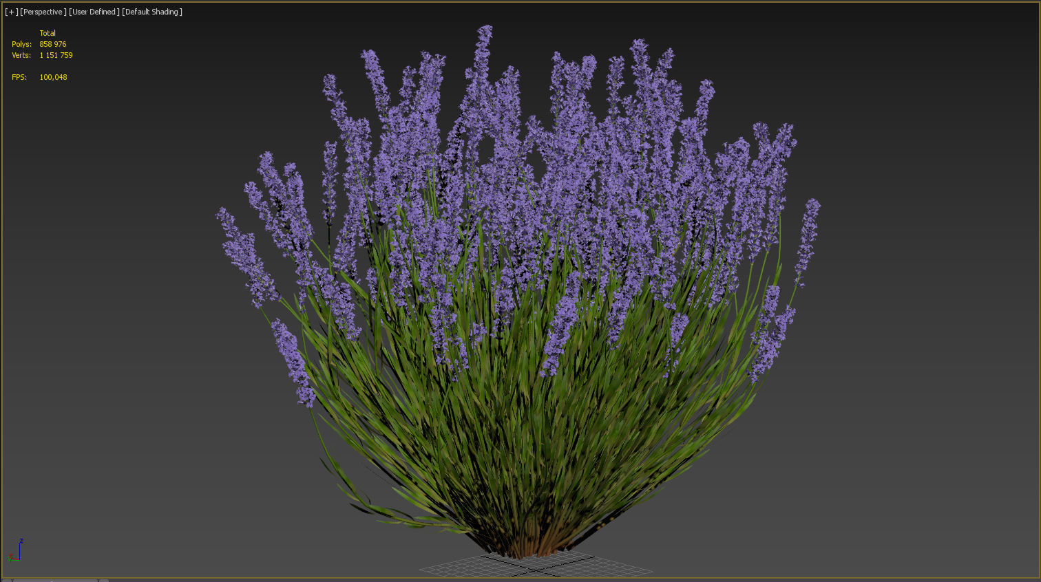 Lavender bush 3D model | CGTrader
