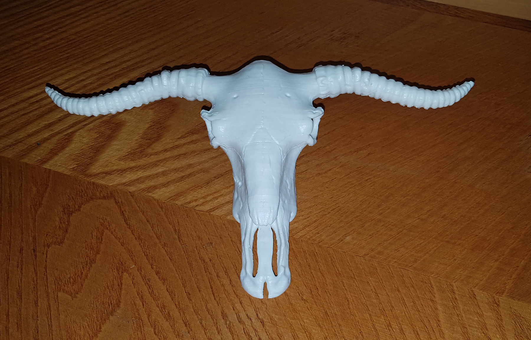 Cow Scull 3D model 3D printable | CGTrader