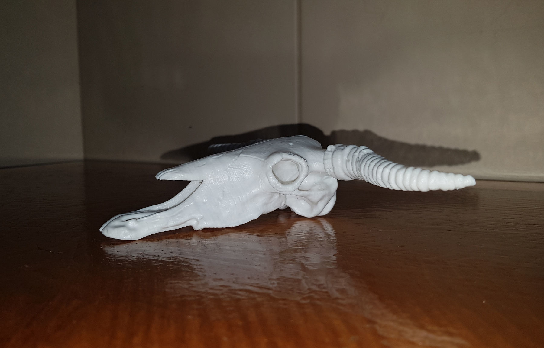 Cow Scull 3D model 3D printable | CGTrader
