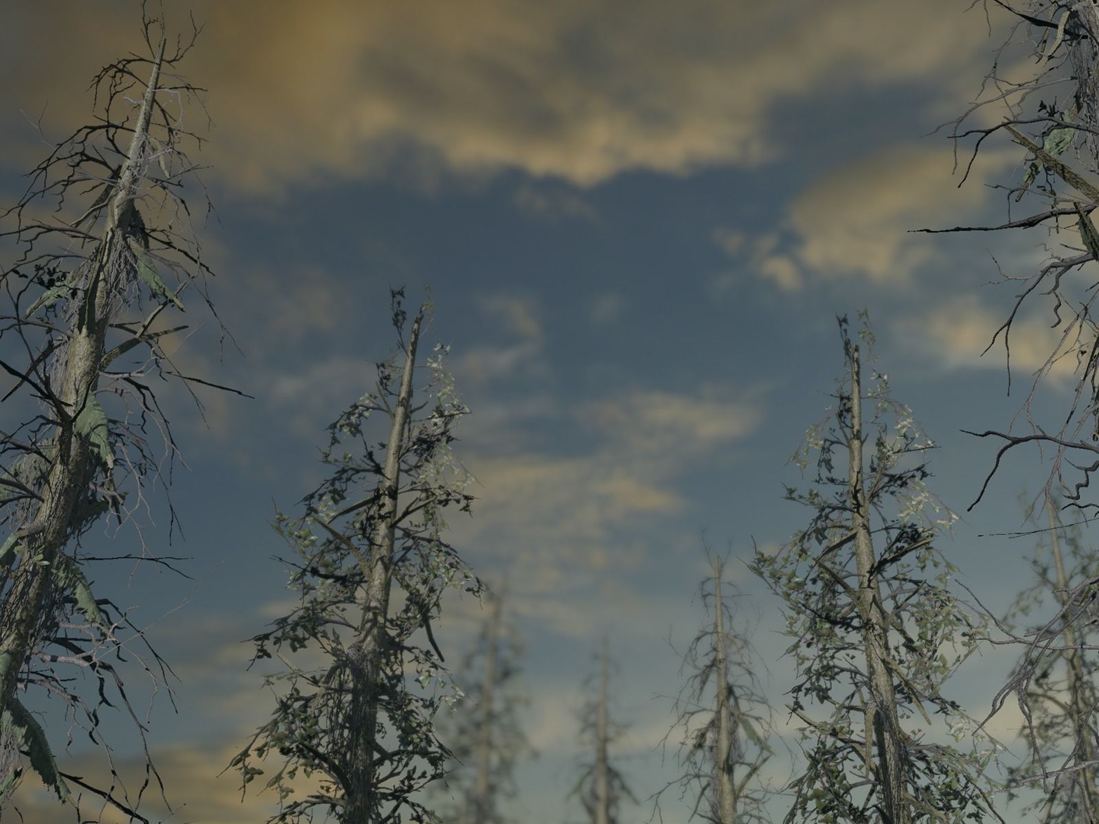 3D model Nature Assets - Swamp Trees VR / AR / low-poly | CGTrader