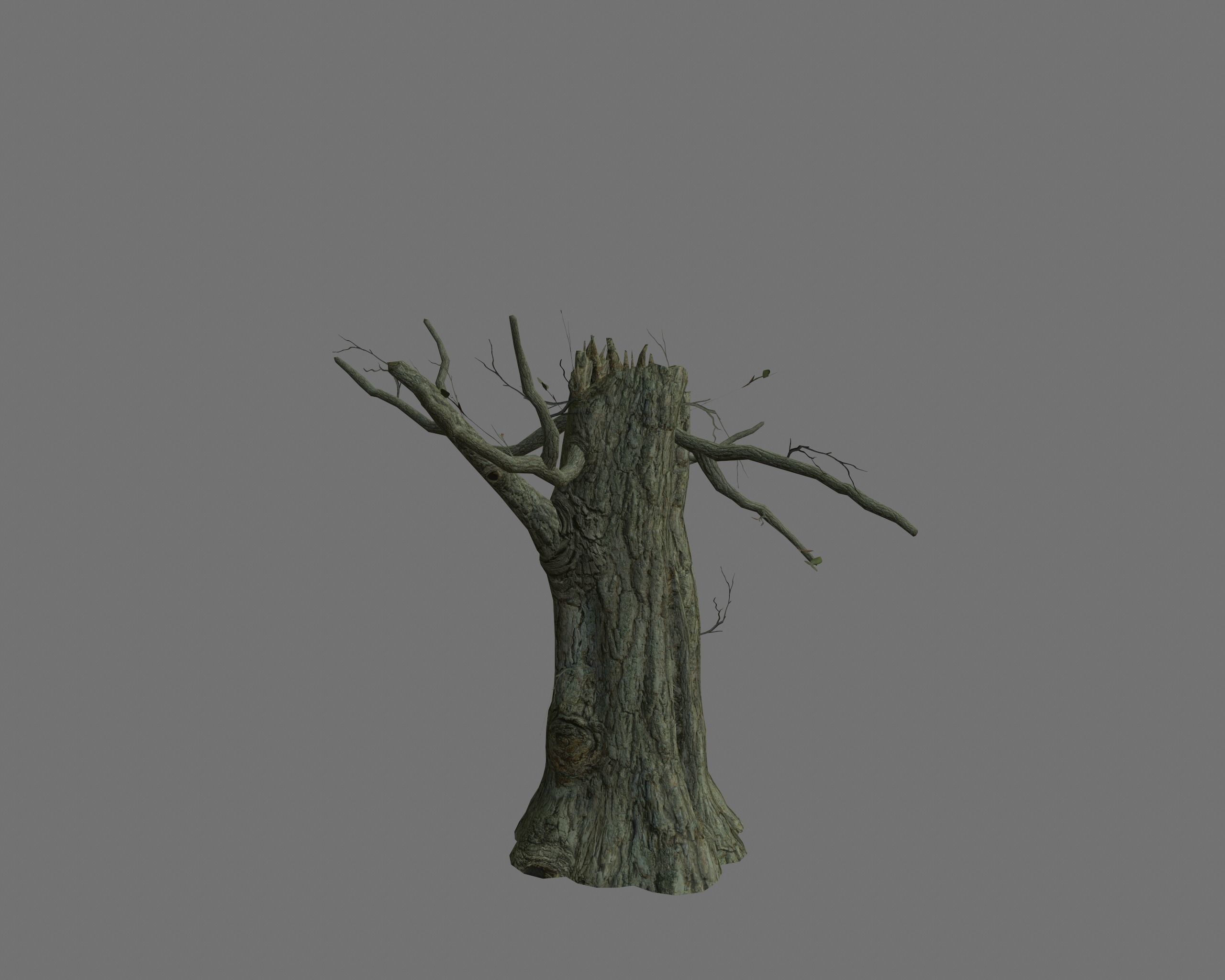 3D model Nature Assets - Swamp Trees VR / AR / low-poly | CGTrader