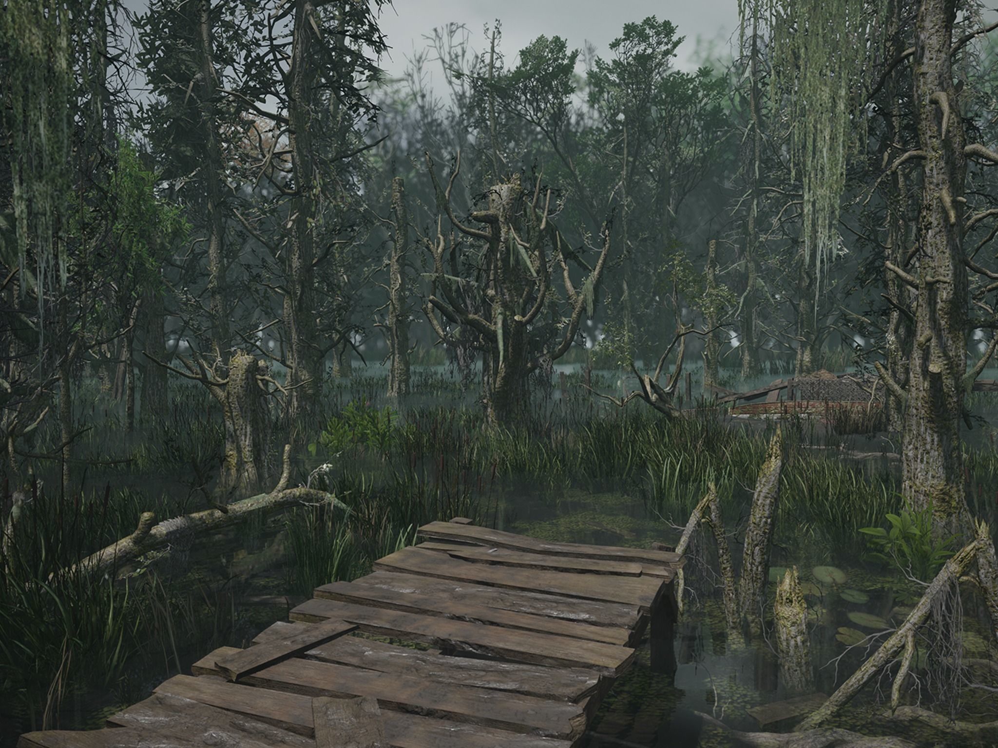 3D model Nature Assets - Swamp Trees VR / AR / low-poly | CGTrader