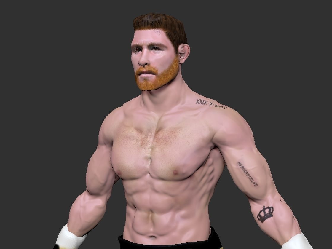 3D model Canelo Alvarez VR / AR / low-poly rigged animated | CGTrader