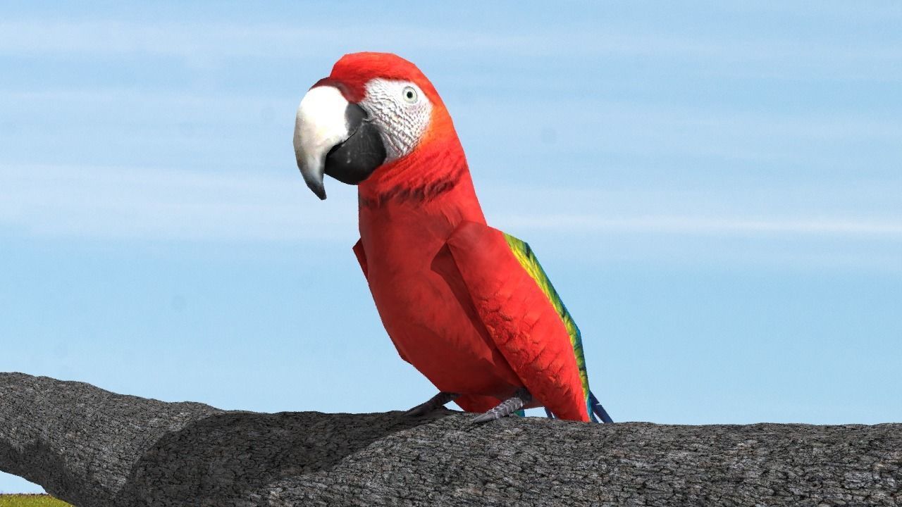 3D model Scarlet Macaw - Animated VR / AR / low-poly rigged animated ...