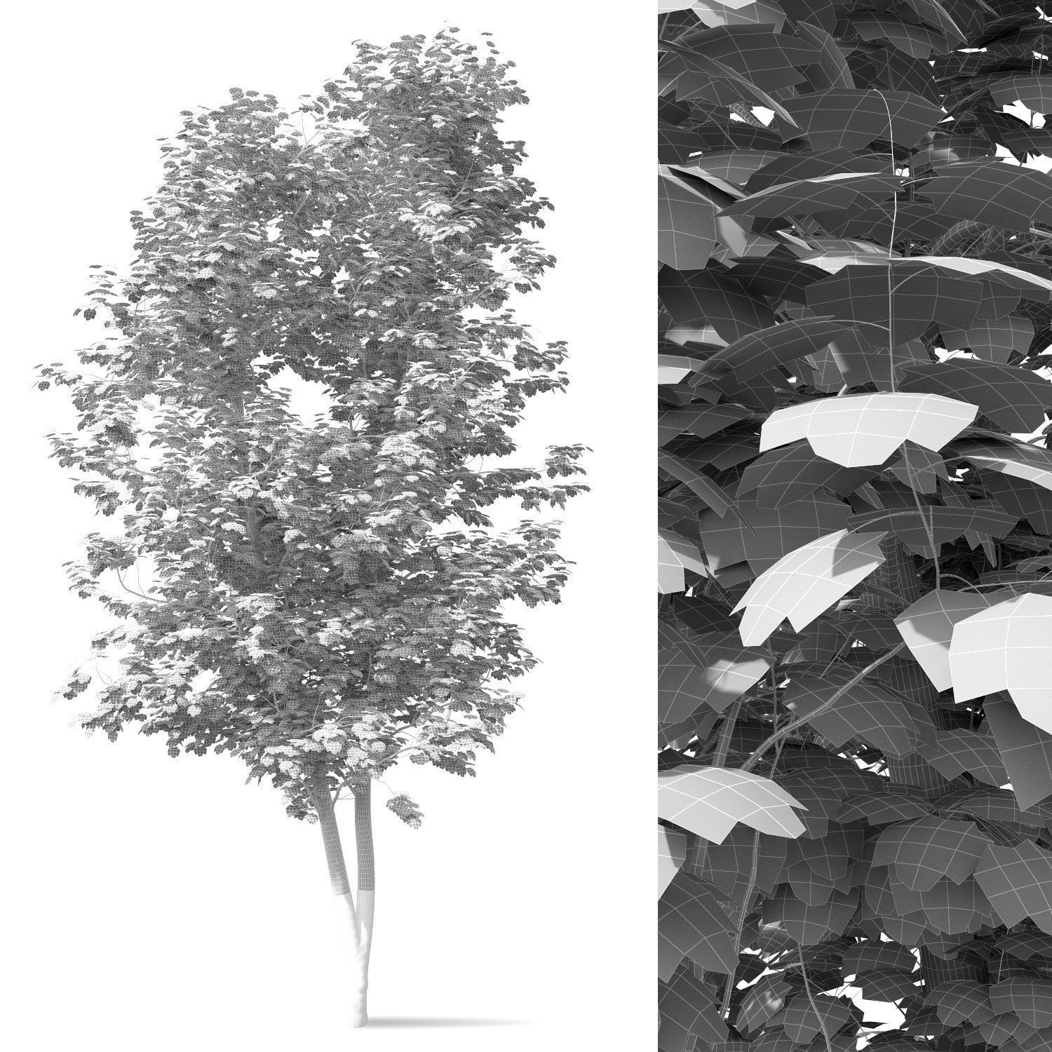 Trees set 7 trees 3D model | CGTrader
