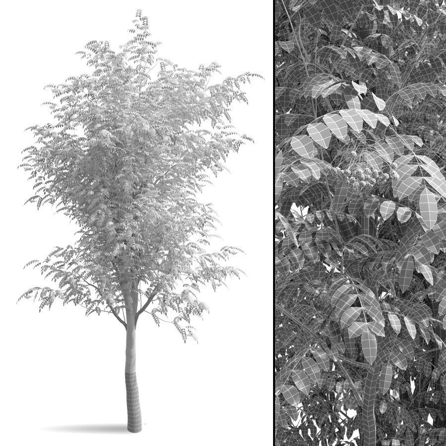 Trees set 7 trees 3D model | CGTrader