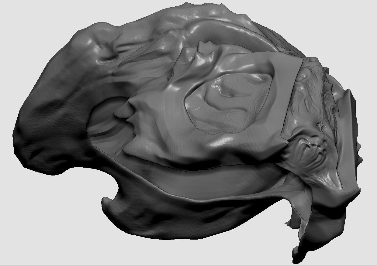 Ceremonial hunter mask 3D model 3D printable | CGTrader