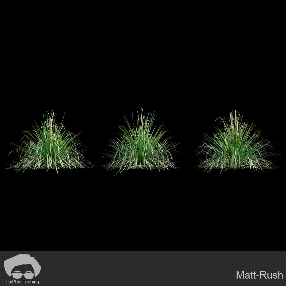 Australian Bush and Grass kit 1 3D model | CGTrader