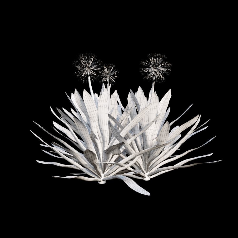 Australian Bush and Grass kit 1 3D model | CGTrader