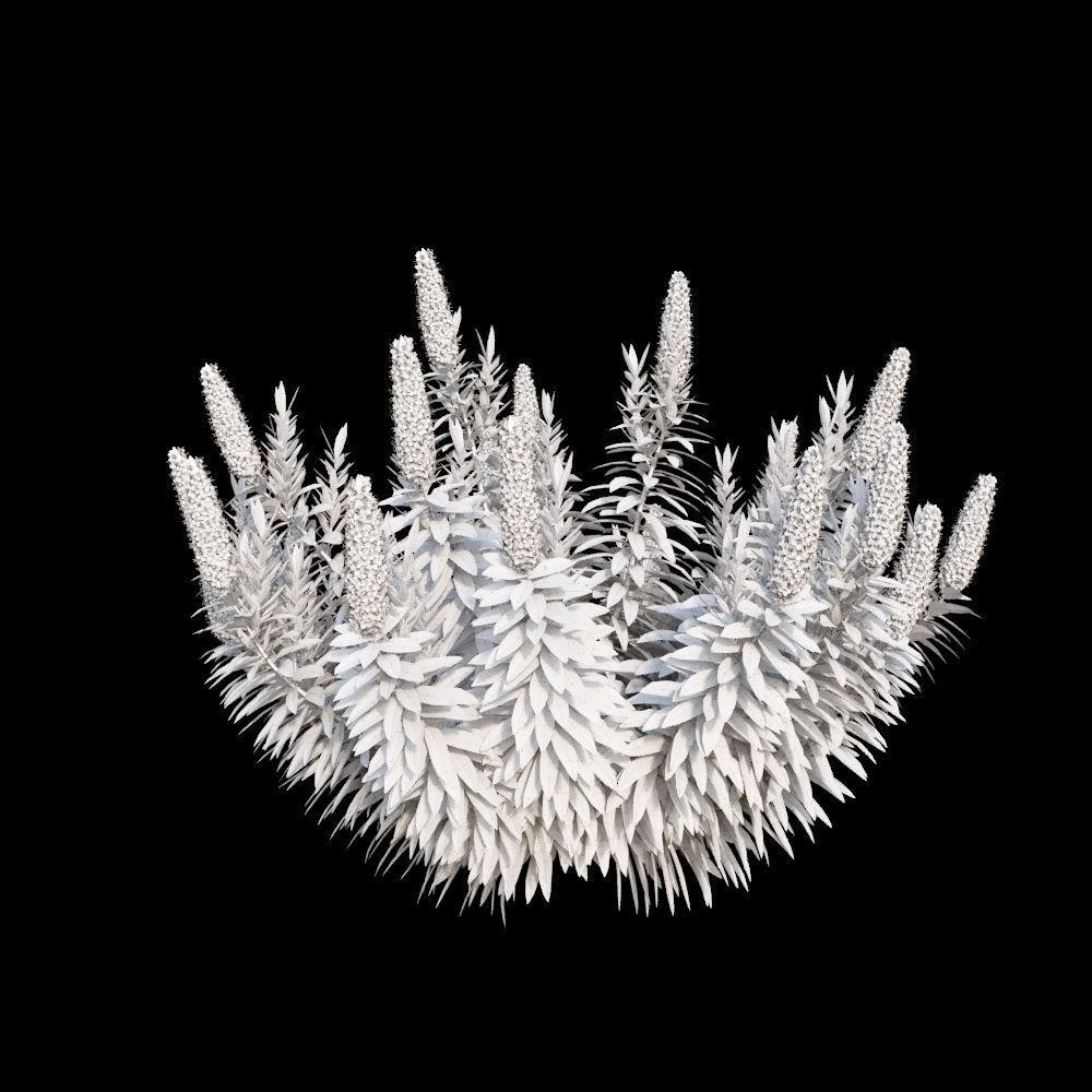 Australian Bush and Grass kit 2 3D model | CGTrader