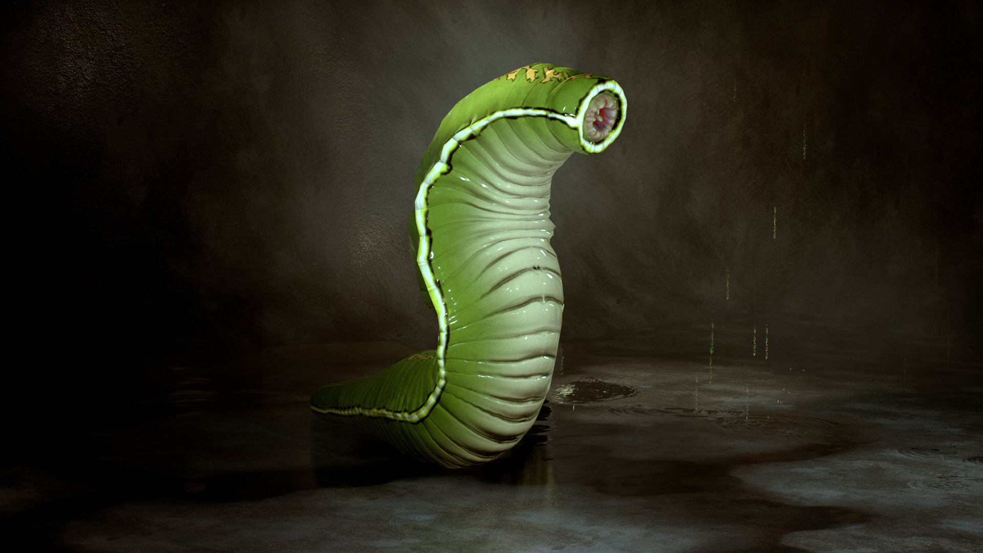 3D model Heavy Leech VR / AR / low-poly rigged animated | CGTrader