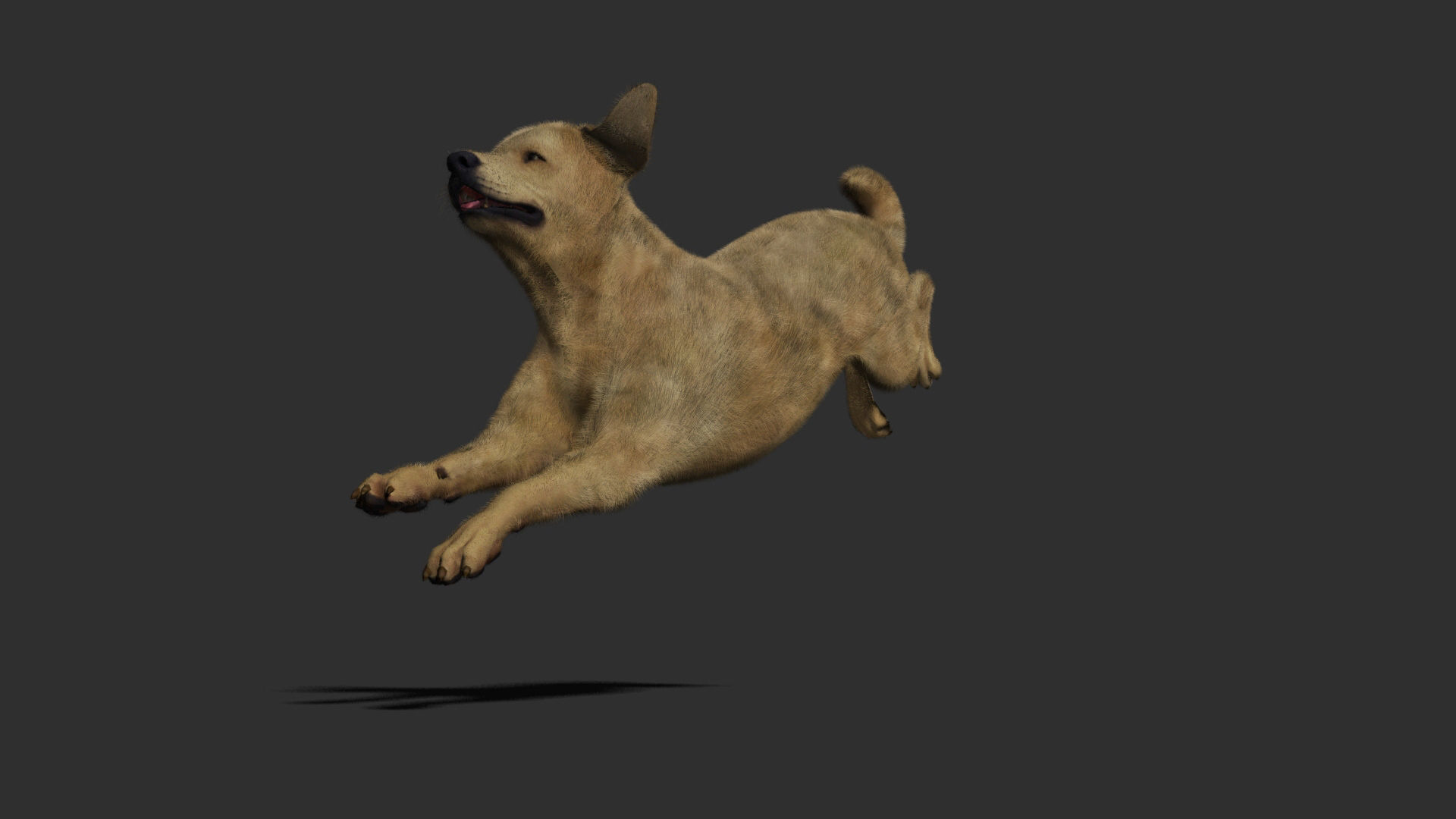 3D model Dog rigged and animated VR / AR / low-poly rigged animated ...