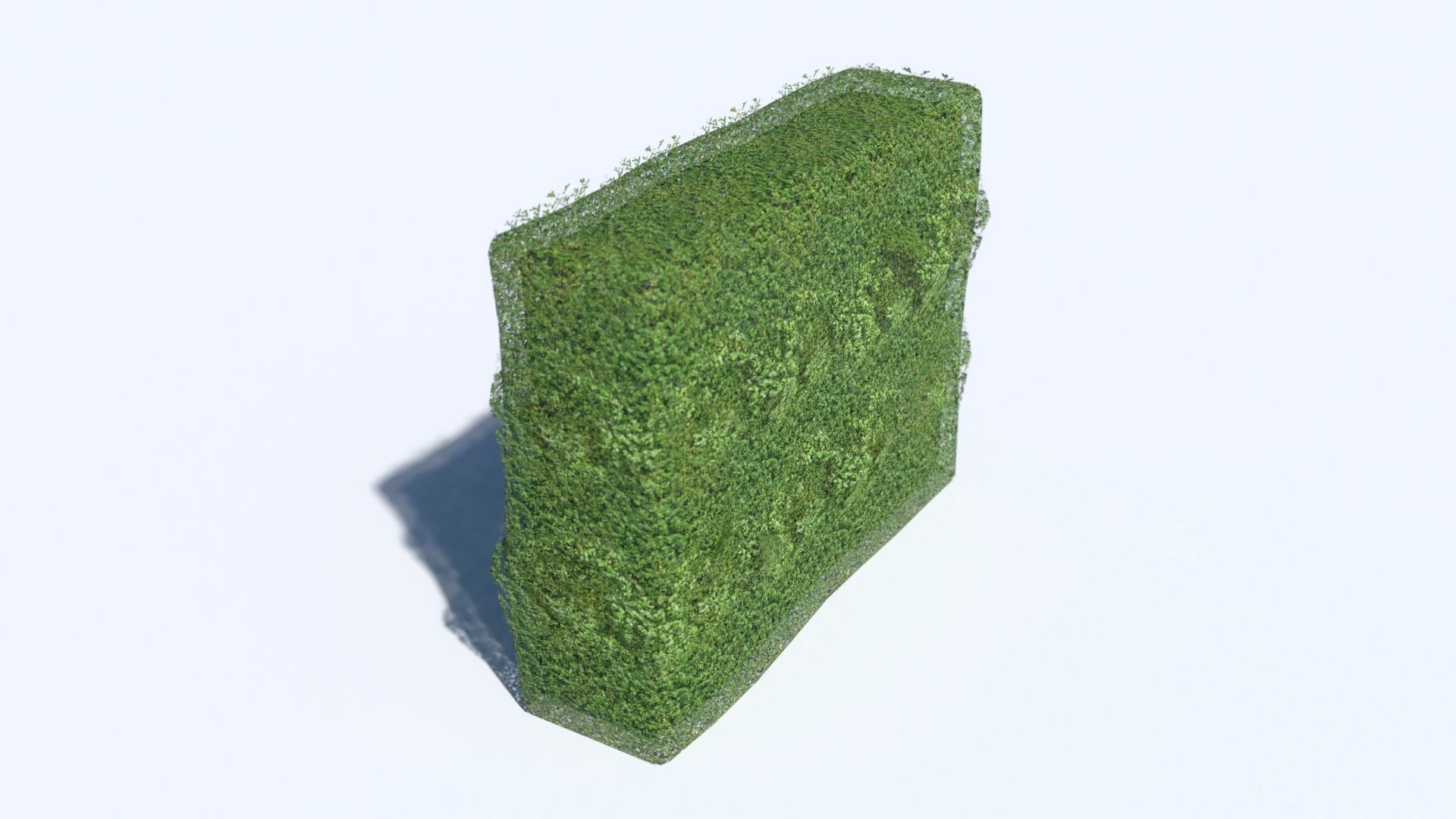 3D model Hedge grass block VR / AR / low-poly | CGTrader