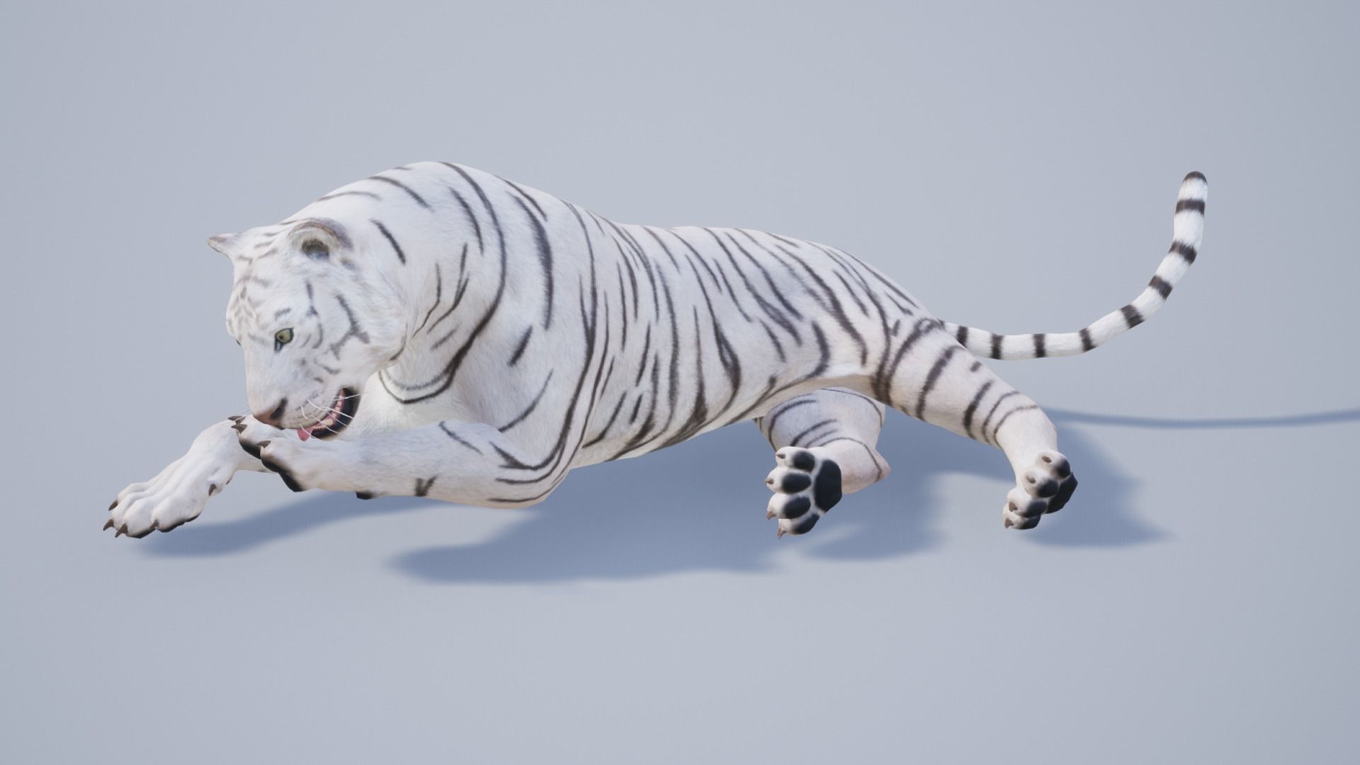 3D model Tiger VR / AR / low-poly rigged animated | CGTrader