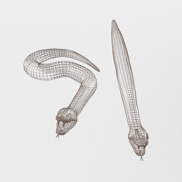 3D model Python Snake VR / AR / low-poly | CGTrader