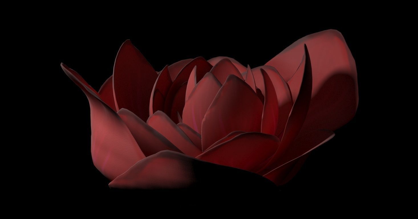 Red Rose free 3D model | CGTrader