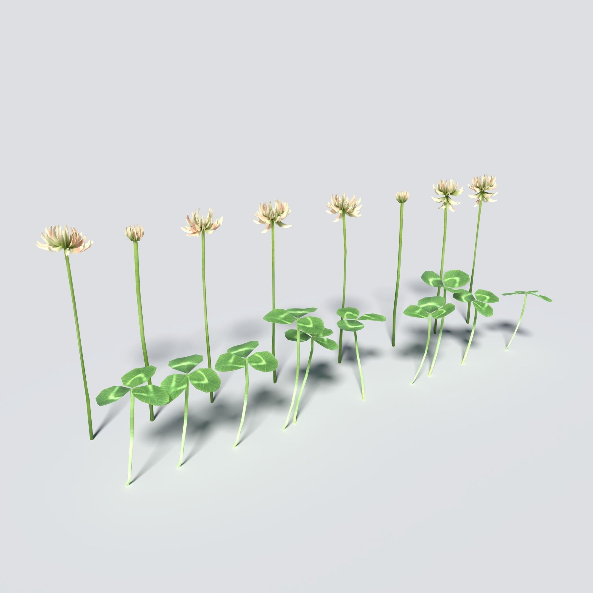 Clover field of with flowers free 3D model | CGTrader