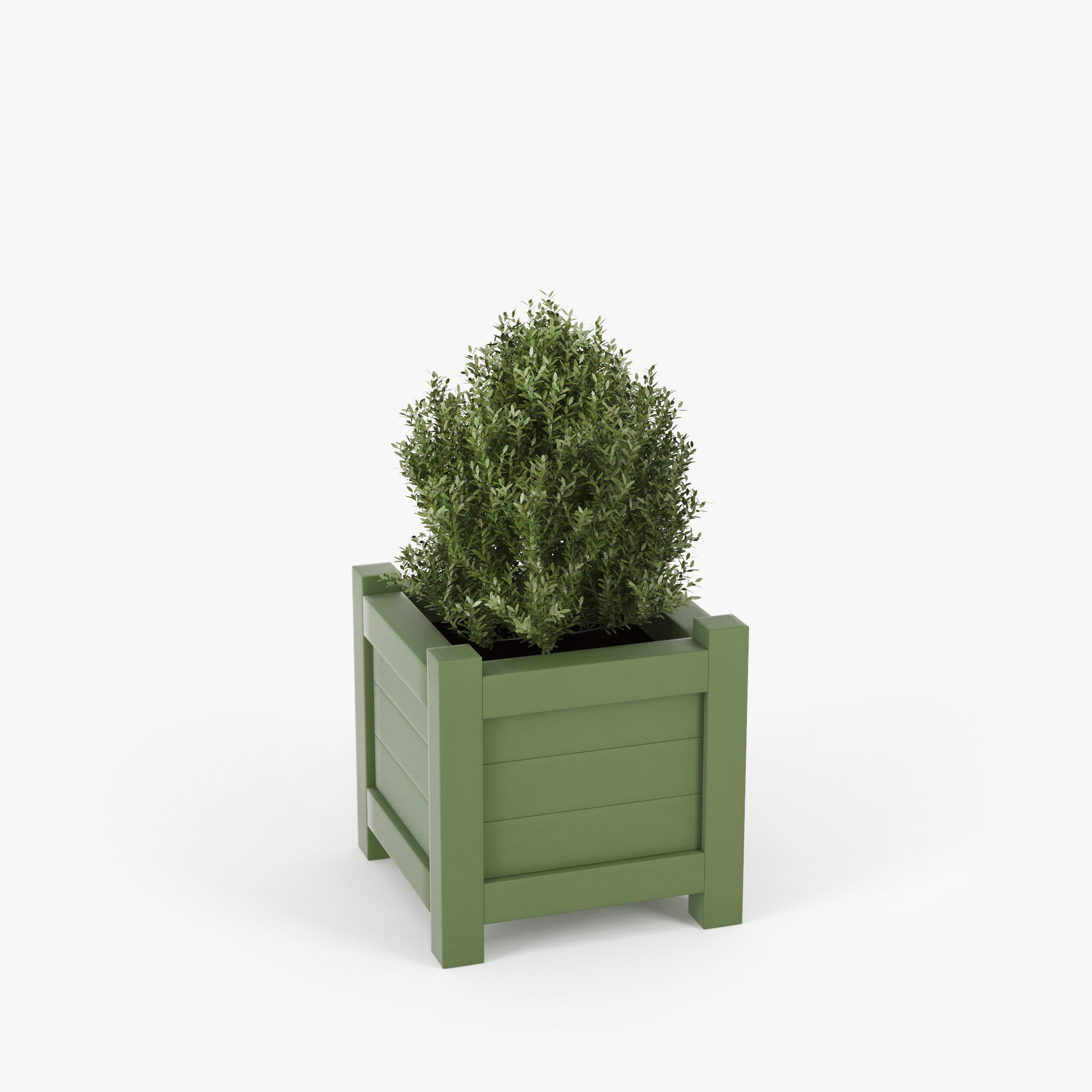 Buxus green pot 3D model | CGTrader