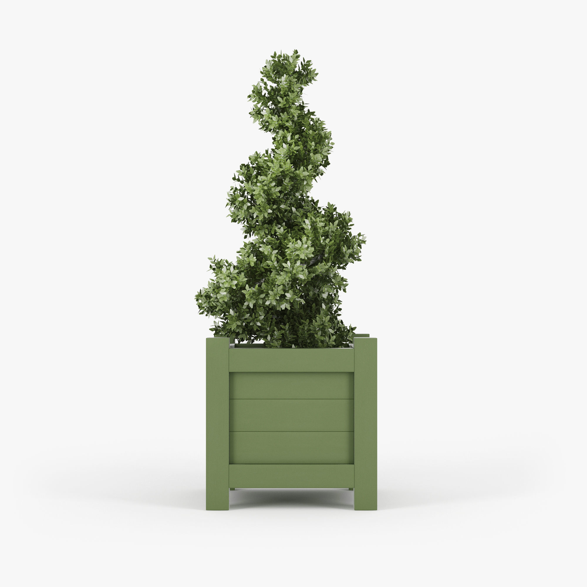 Buxus green pot 3D model | CGTrader