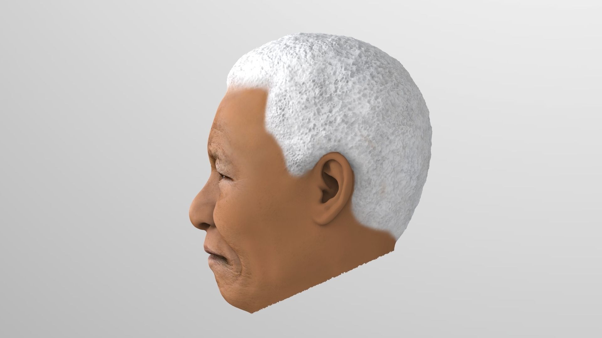 Nelson Mandela 3D model | CGTrader