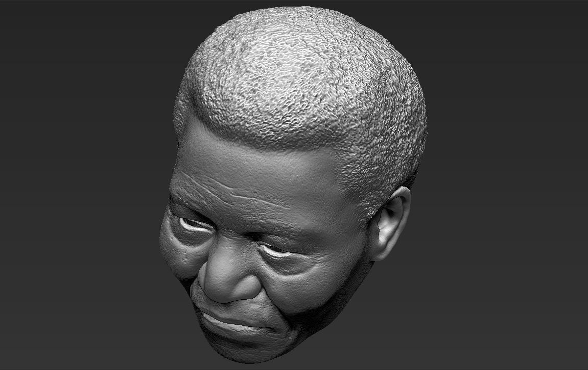 Nelson Mandela 3D model | CGTrader