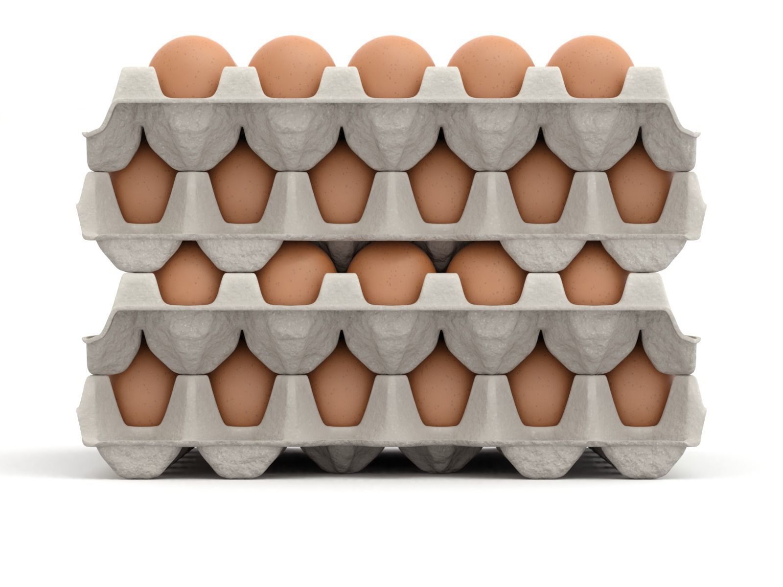 Eggs in a carton package 3D model | CGTrader