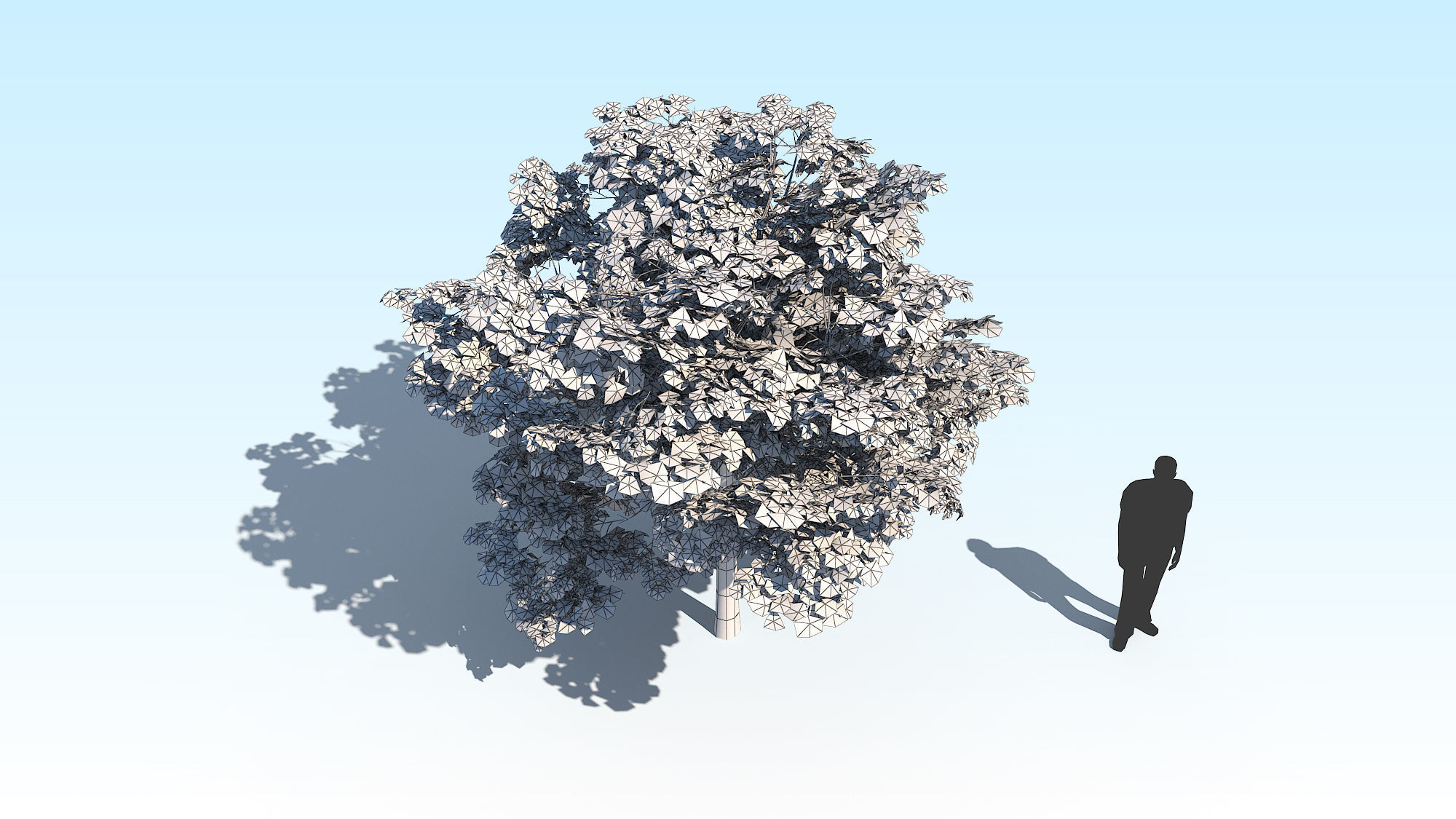 Maple Acer Tree 01 ArchViz 3D model | CGTrader