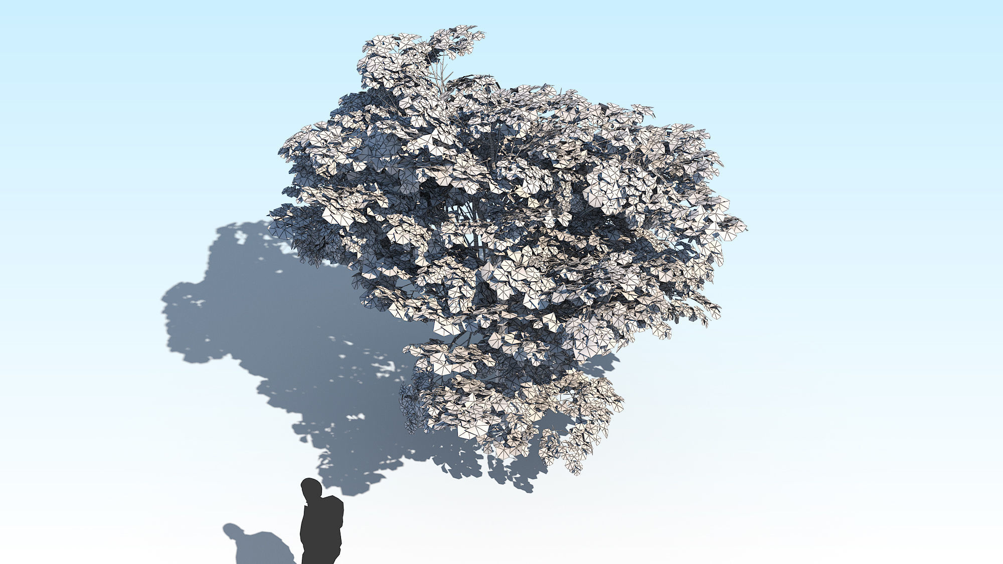 Maple Acer Tree 01 ArchViz 3D model | CGTrader