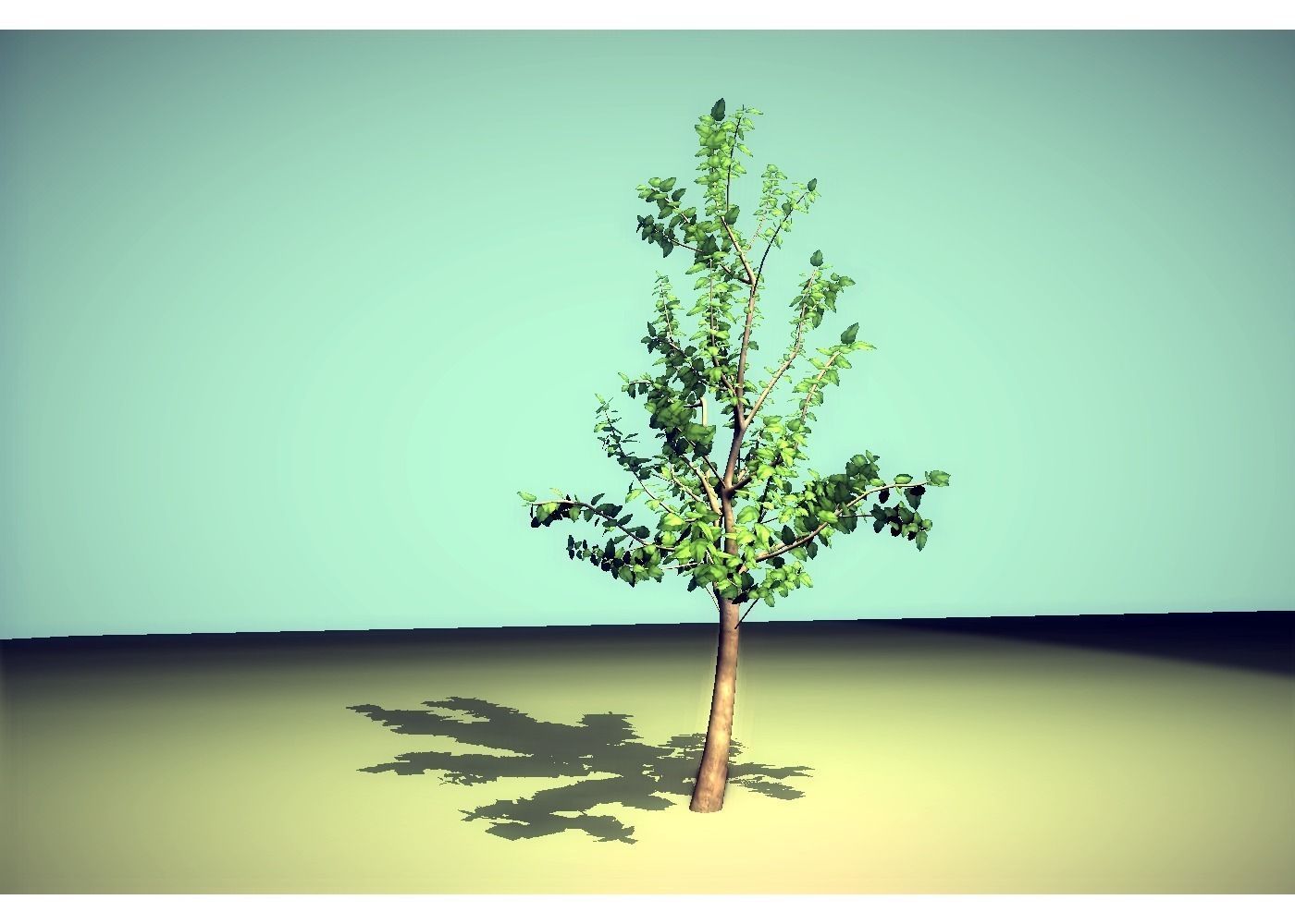 small tree 3D model | CGTrader