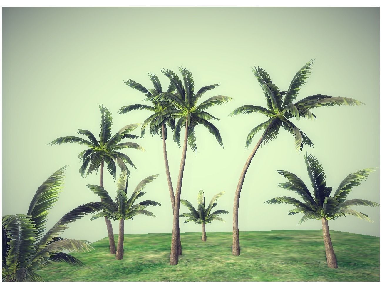 3D model low poly palms pack VR / AR / low-poly | CGTrader