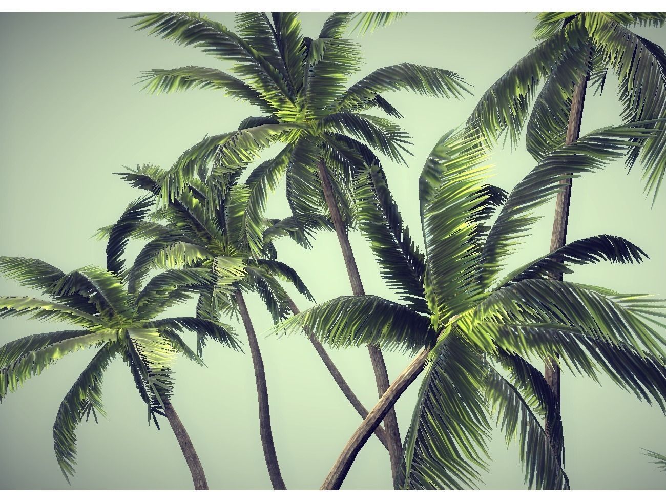 3D model low poly palms pack VR / AR / low-poly | CGTrader