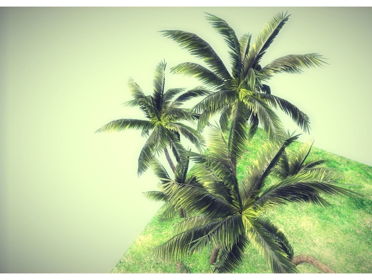 3D model low poly palms pack VR / AR / low-poly | CGTrader