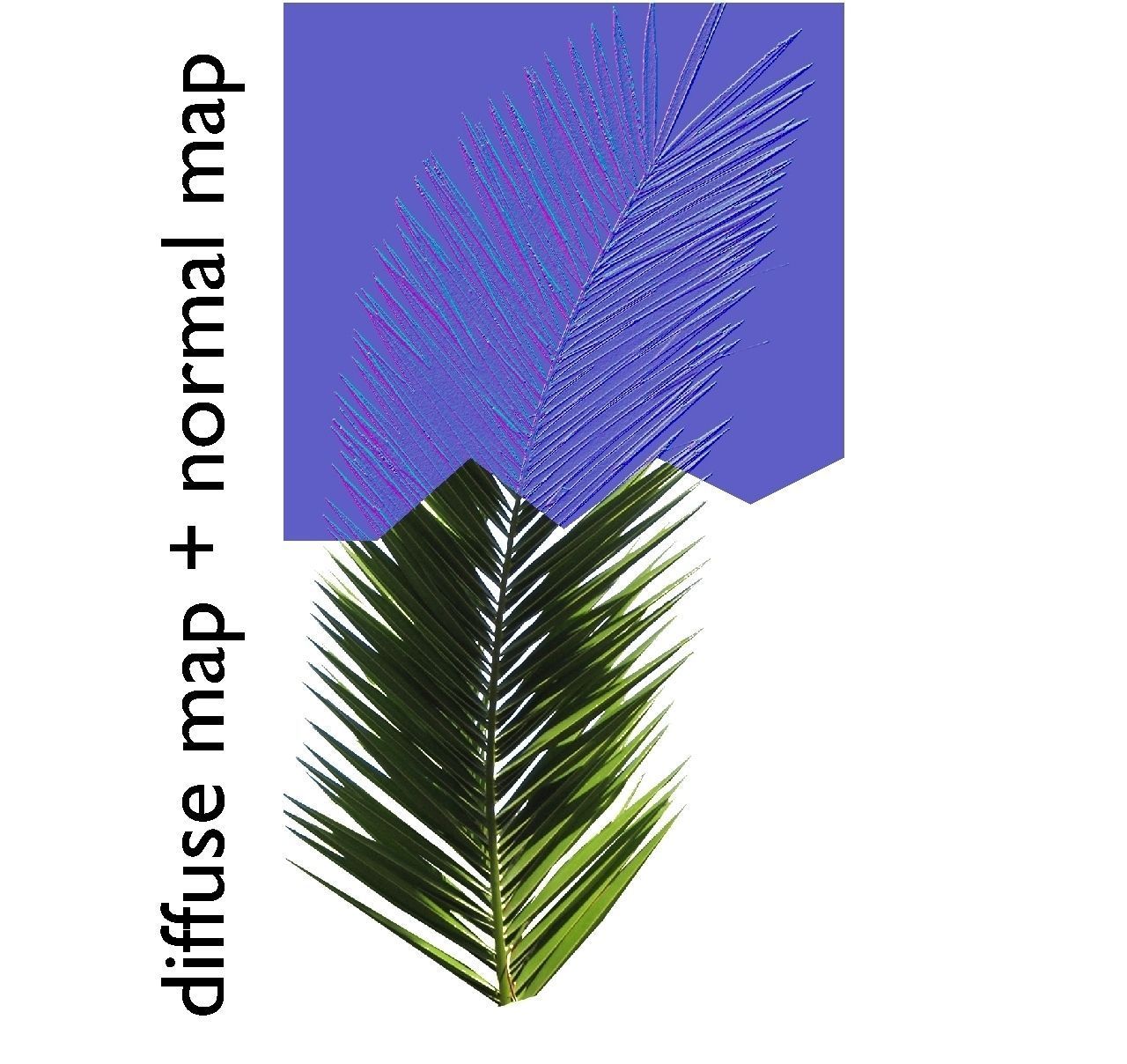 3D model low poly palms pack VR / AR / low-poly | CGTrader