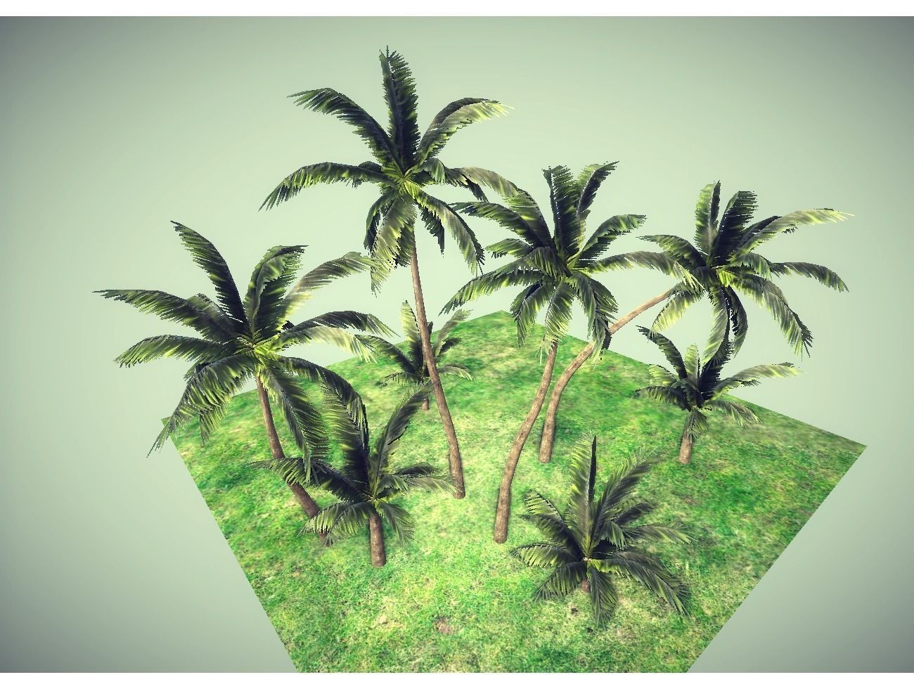3D model low poly palms pack VR / AR / low-poly | CGTrader
