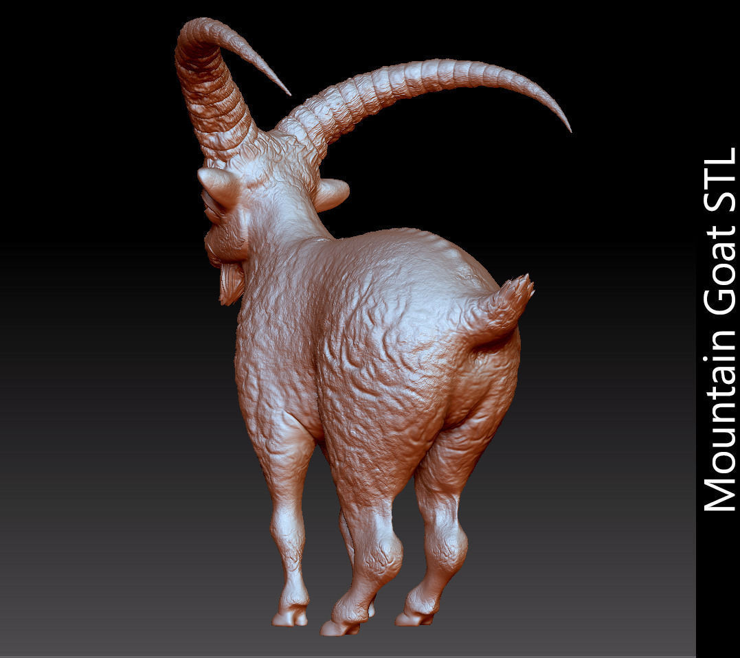 Mountain goat STL 3D model 3D printable | CGTrader