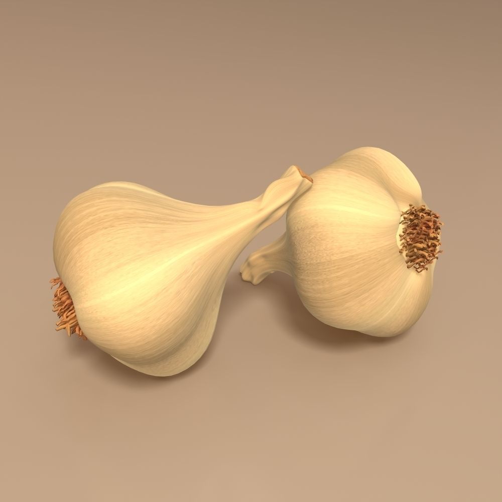 Garlic 3D model | CGTrader