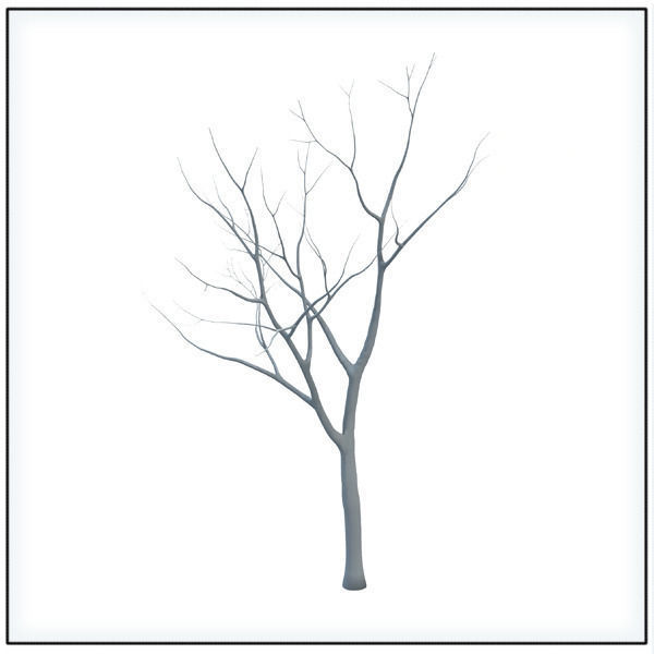 Common Tree STL Printable 3D Model 3D printable OBJ STL - CGTrader.com