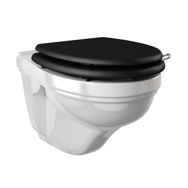 Devon Devon BLUES WALL-HUNG WC 3D model | CGTrader