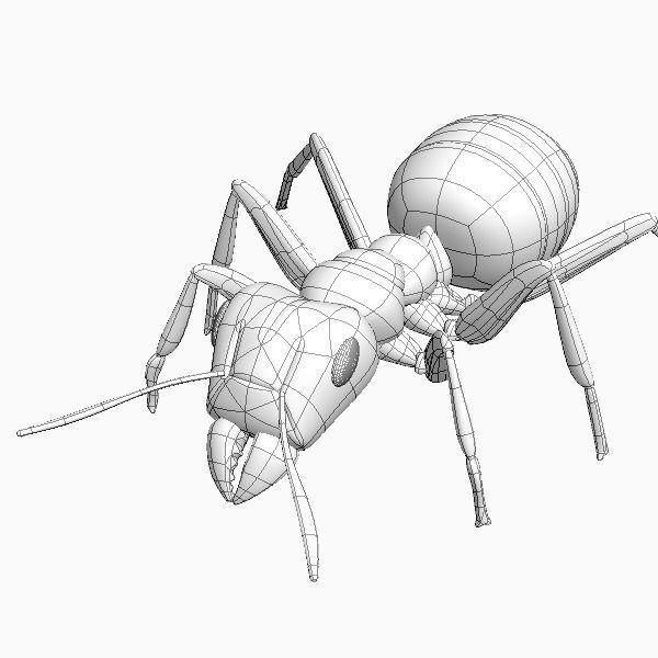 Red Ant 3D model | CGTrader