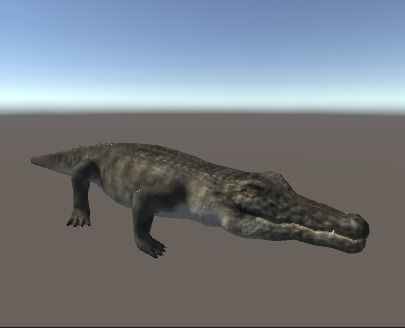 3D model Unity Crocodile VR / AR / low-poly UNITYPACKAGE - CGTrader.com
