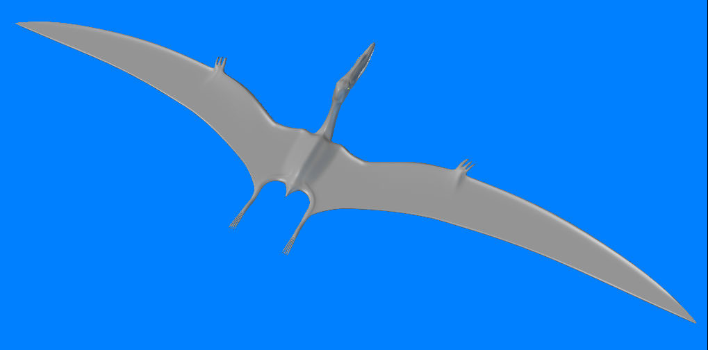 Gnathosaurus dinosaur flying 3D model | CGTrader