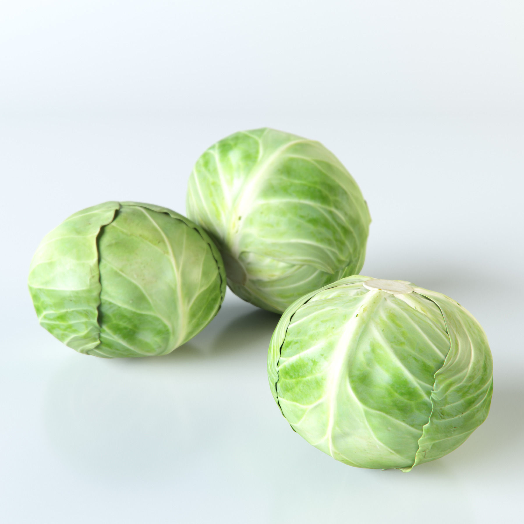 Cabbage 3D model | CGTrader