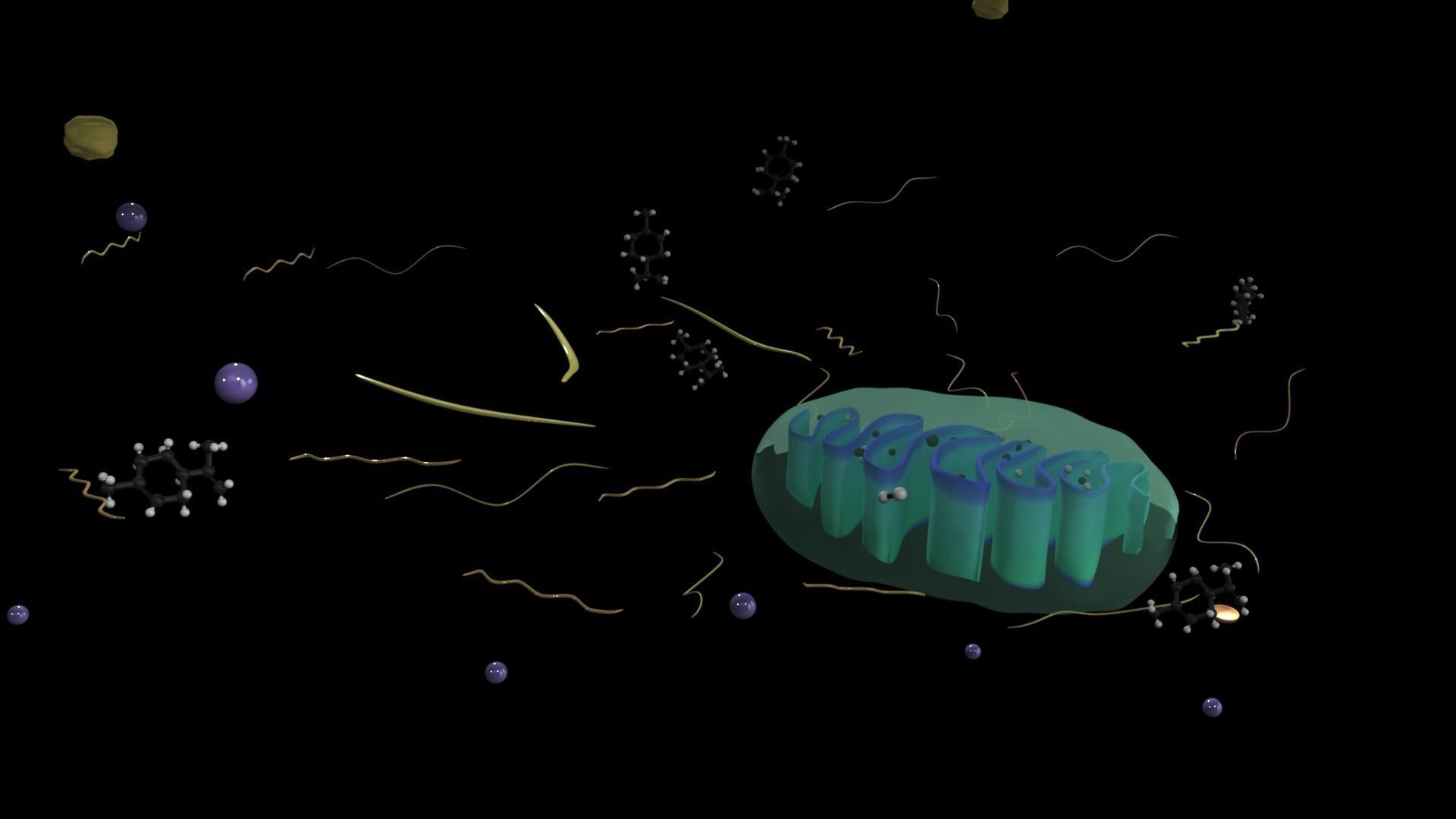 Scientific Cell Membrane Lipids with elements 3D model animated rigged ...