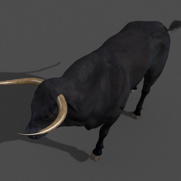 Ultimate Bull - 3d model 3D model animated rigged | CGTrader