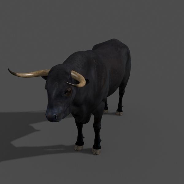 Ultimate Bull - 3d model 3D model animated rigged | CGTrader