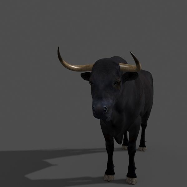 Ultimate Bull - 3d model 3D model animated rigged | CGTrader