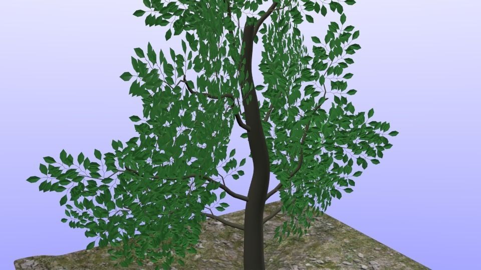 Simple Leaf Tree free 3D model | CGTrader