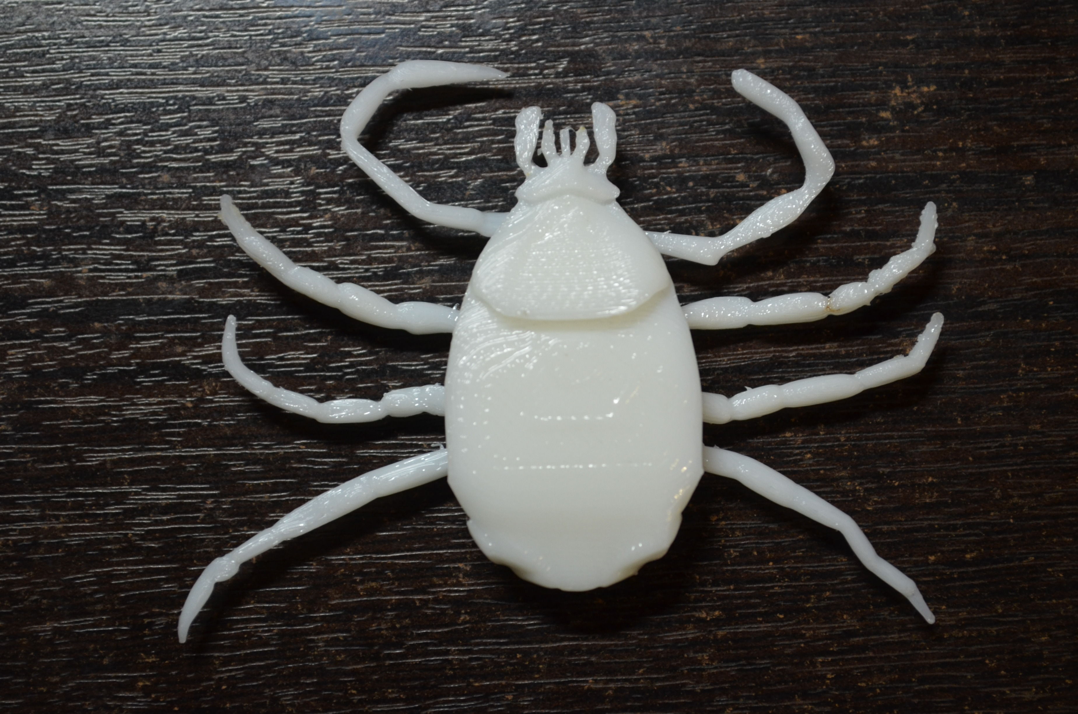 Insects 3D Model 3D printable STL | CGTrader.com
